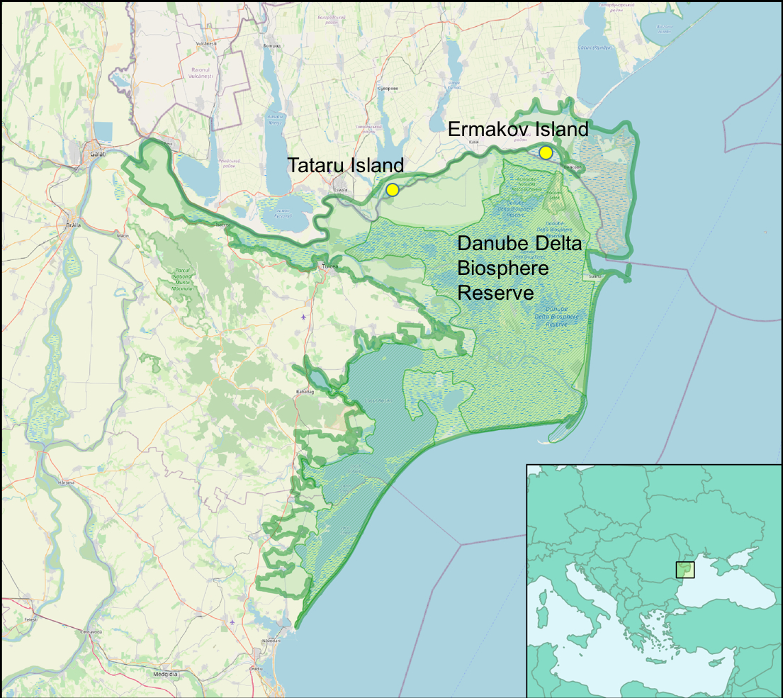 A Decreasing Population Furthers Rewilding Efforts in Romania’s and ...