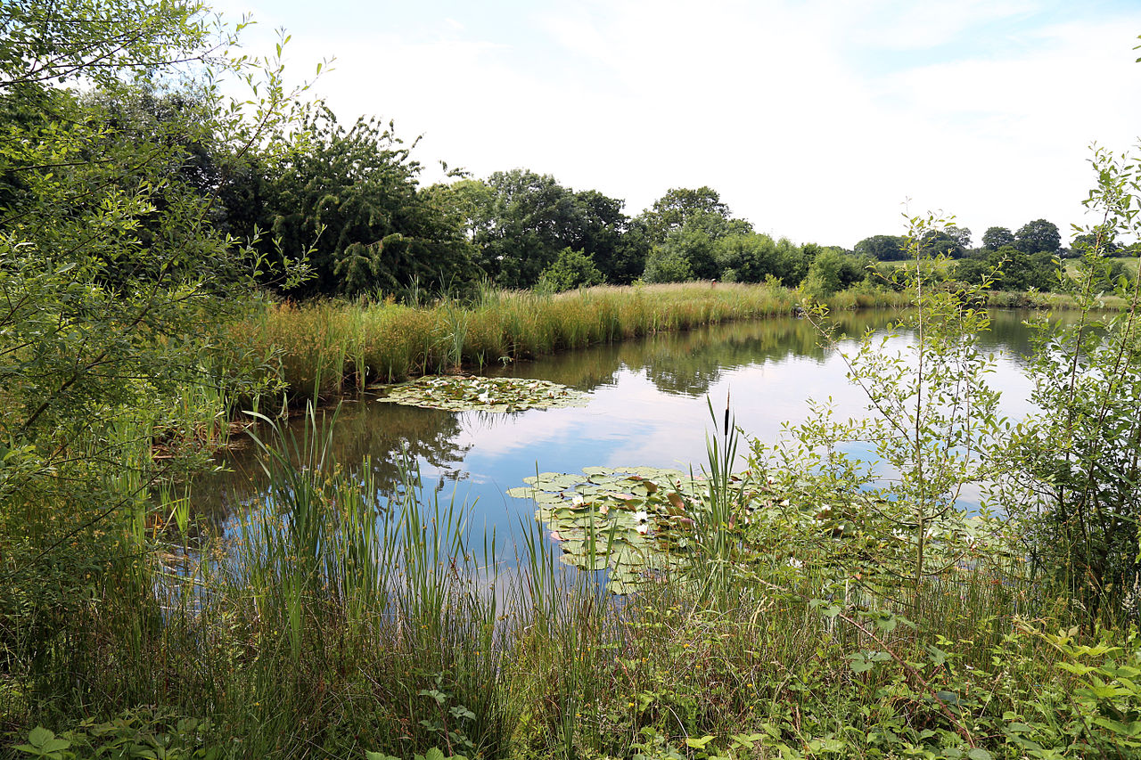 A British perspective on population and biodiversity - The ...