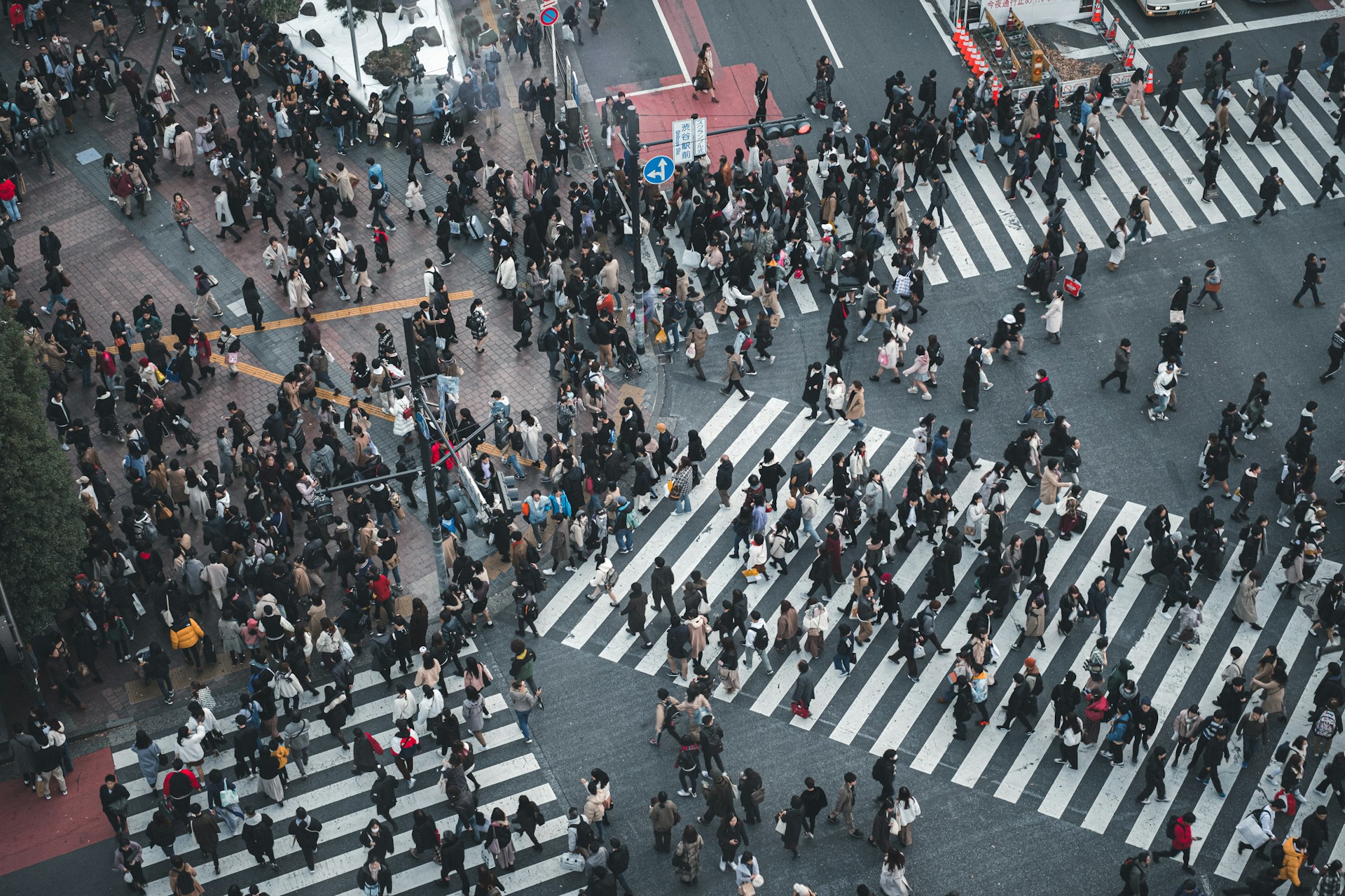 New paper defends a pragmatic definition of overpopulation - The ...